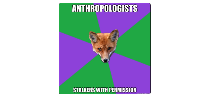 Anthropology Major Fox – a disciplinary meme – Anthropologizing